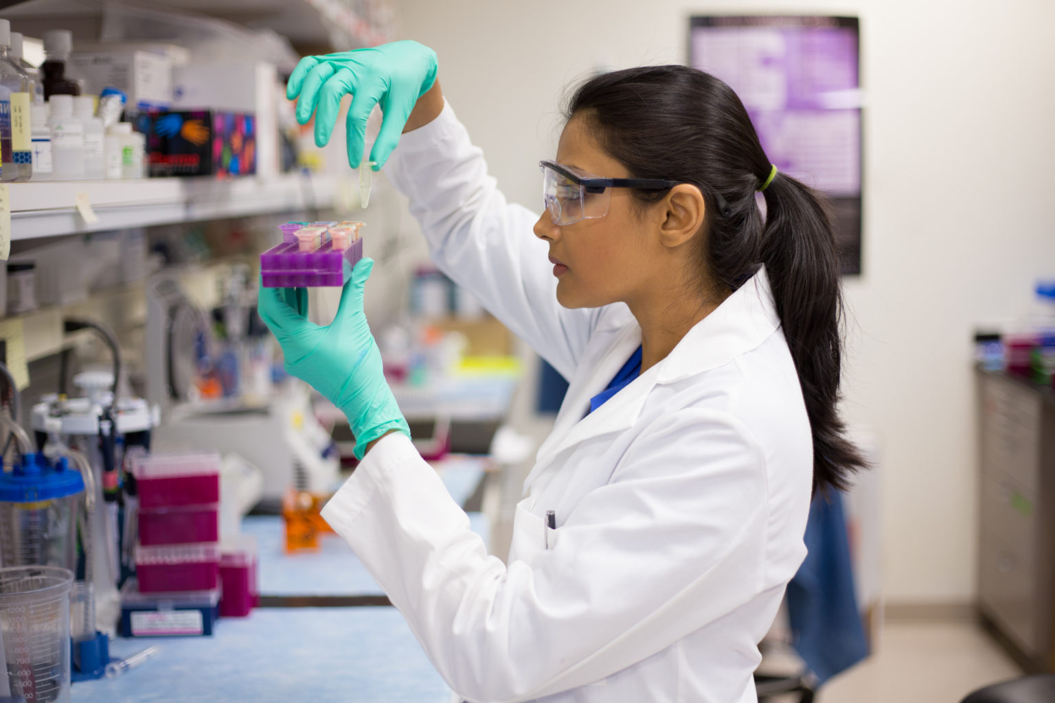 How To Become A Research Scientist With A College Degree